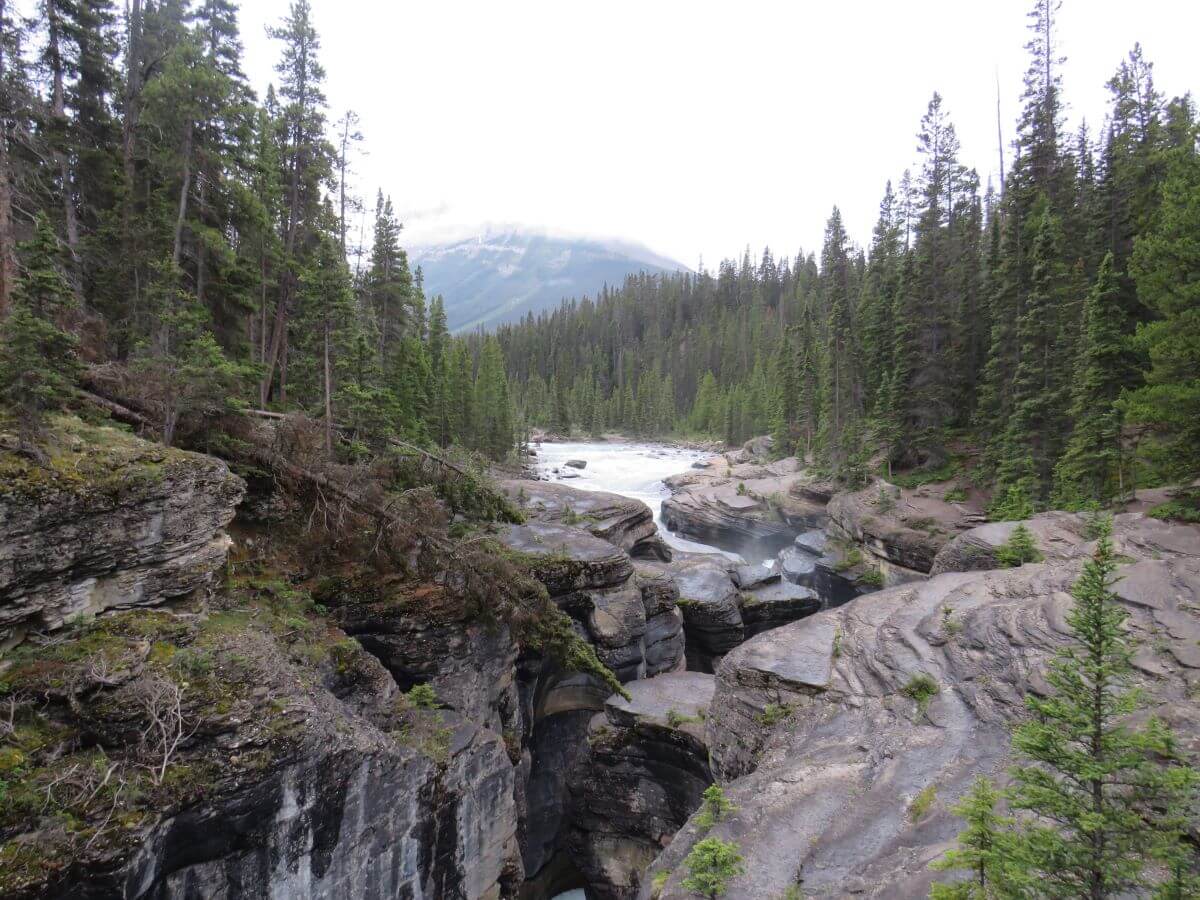 A Road Trip in the Sensational Jasper National Park - nj_wanders