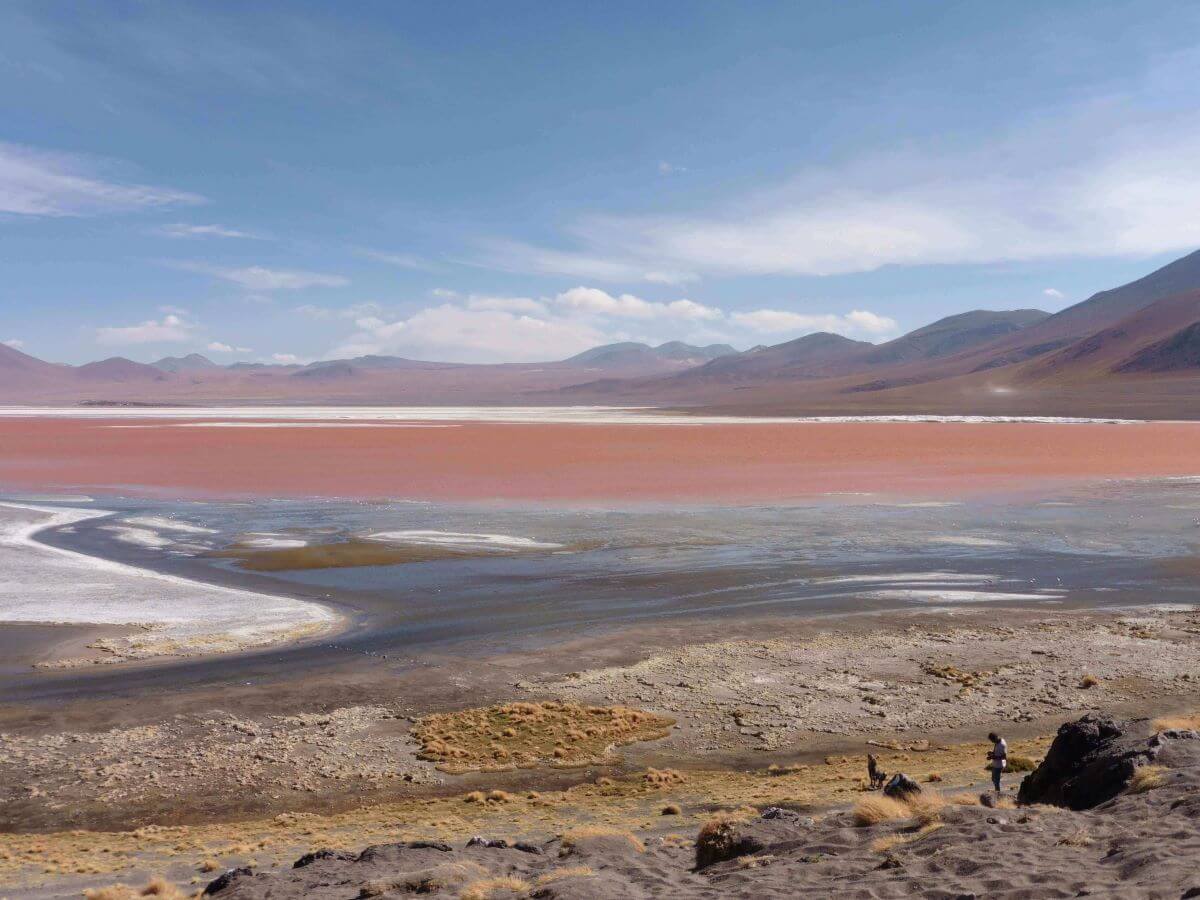 A 3-Day Tour of the Interesting Salts Flats, Bolivia - nj_wanders